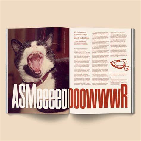 Catnip Magazine – Hammer Museum Store